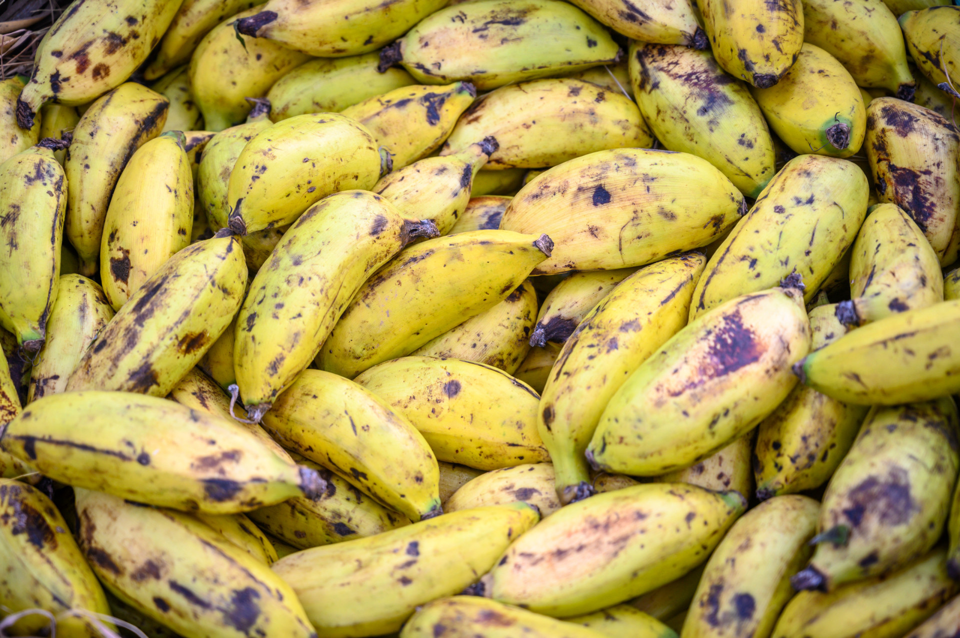 Common foods you didn't know contain alcohol