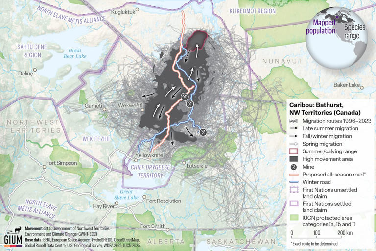 New maps shine light on decline of Bathurst caribou in the NWT