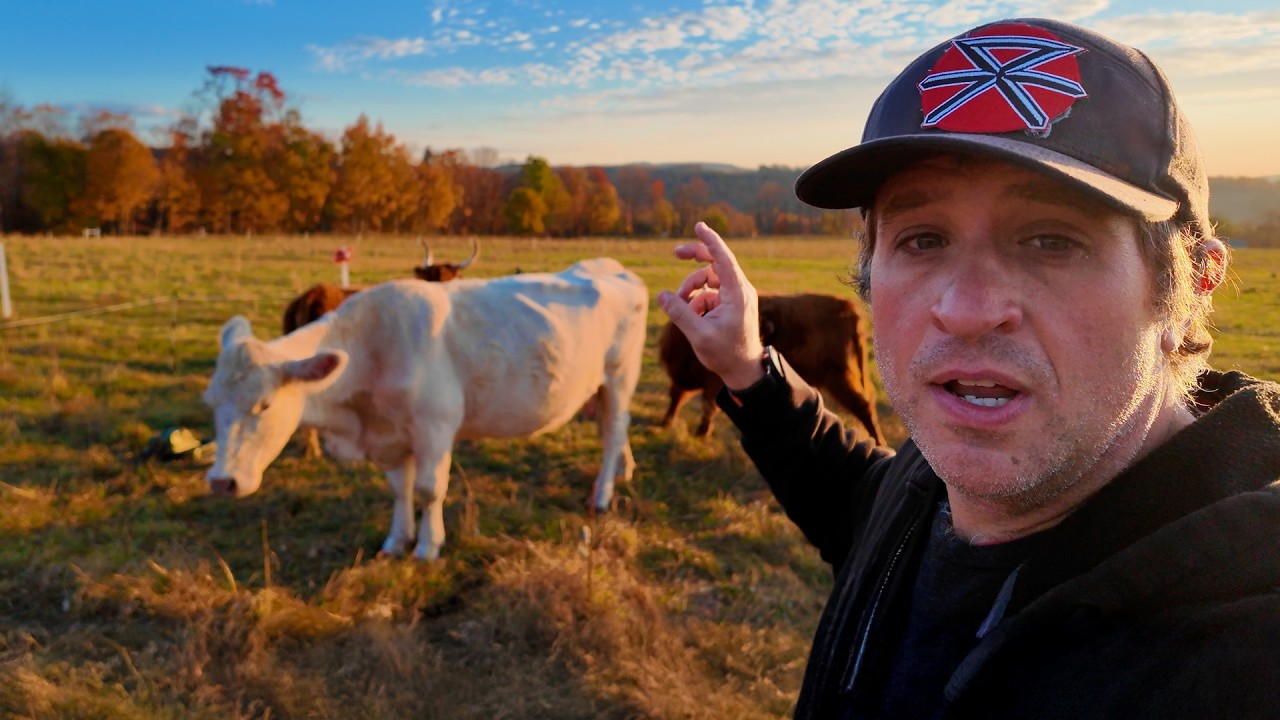 Enjoy a peaceful small farm morning with my animals