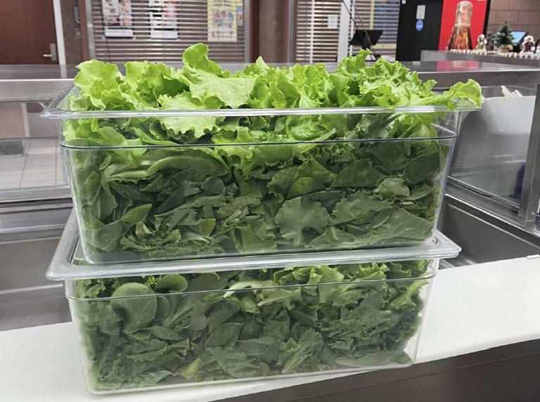 MAPS implements hydroponic system thanks to grant funding