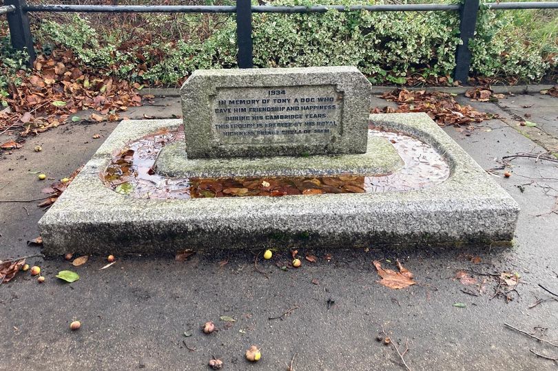 Unassuming Cambridge landmark dedicated to 'man's best friend'