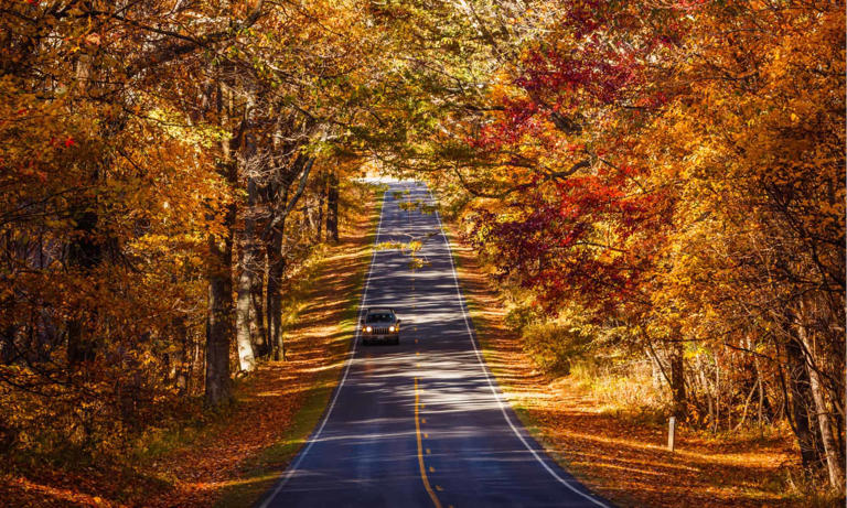 The best roads to travel for spectacular fall foliage