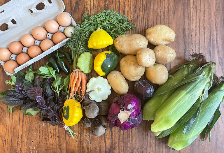 Wilmington area residents should focus enjoyment, not obligation in 2026