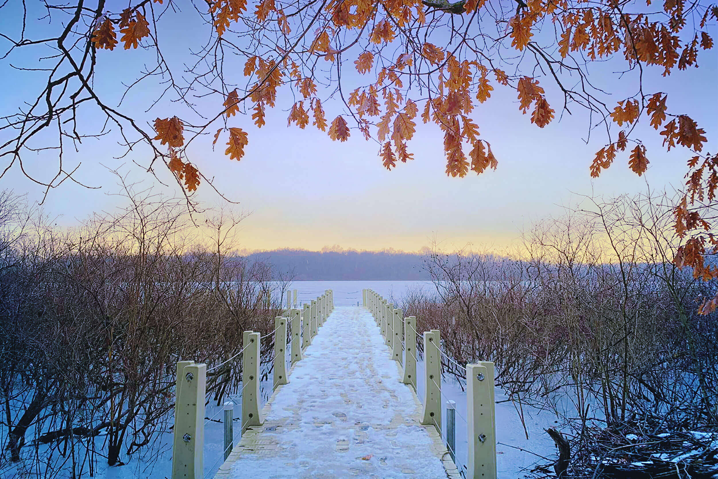 Ring in the new year with family-friendly hikes at two local parks