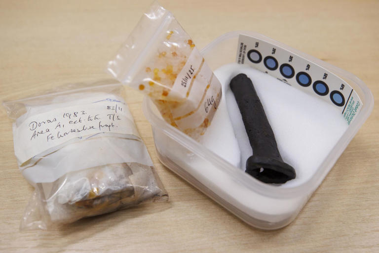 Process under way to recatalogue artefacts held in huge archaeology ...