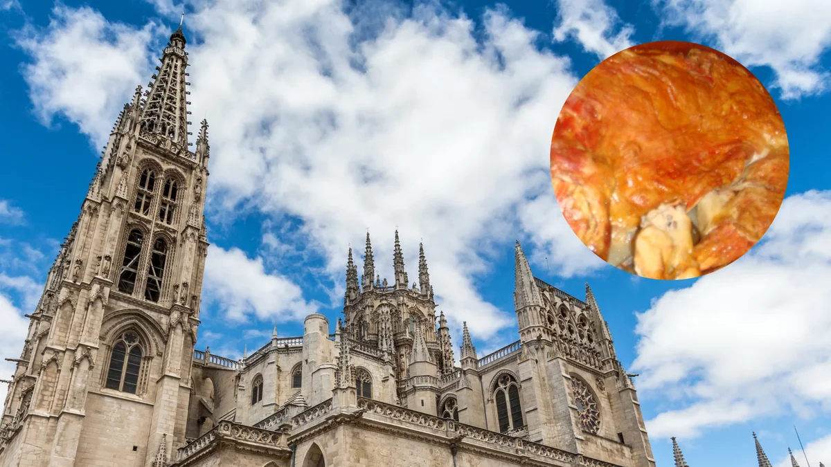 El plato con el que triunfar en Navidad: así es la maravilla burgalesa ...