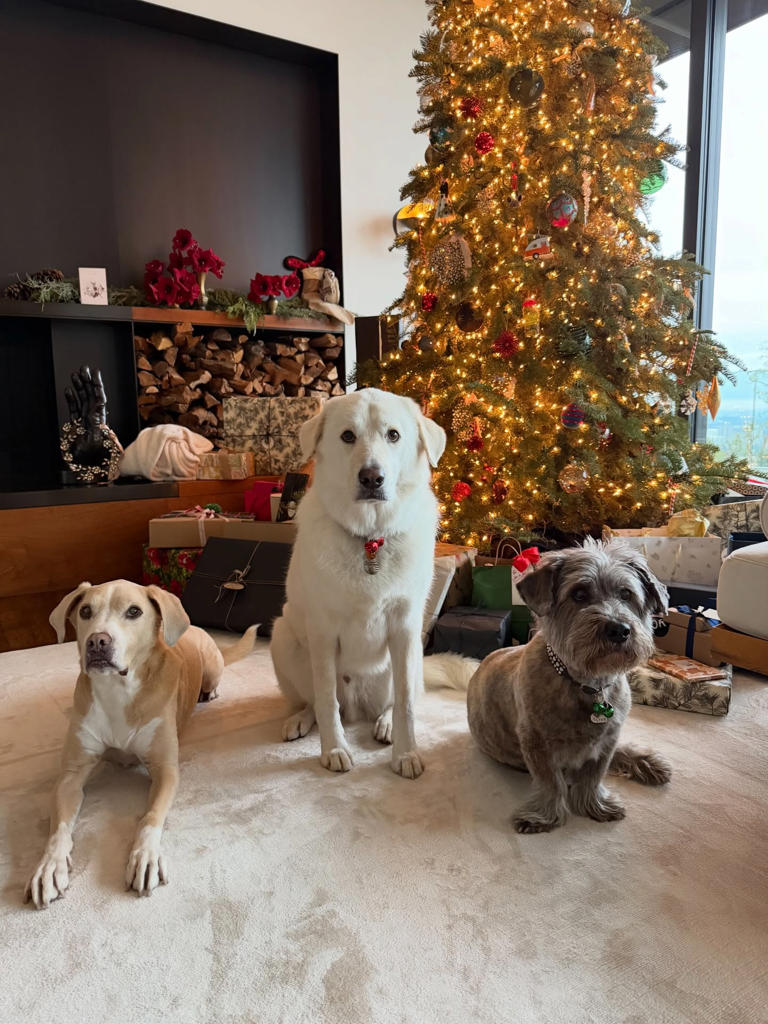 Jennifer Aniston shares glimpse into Christmas festivities with ...