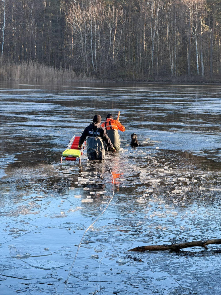 Eschede: Feuerwehr befreit Hund aus Eisloch im See