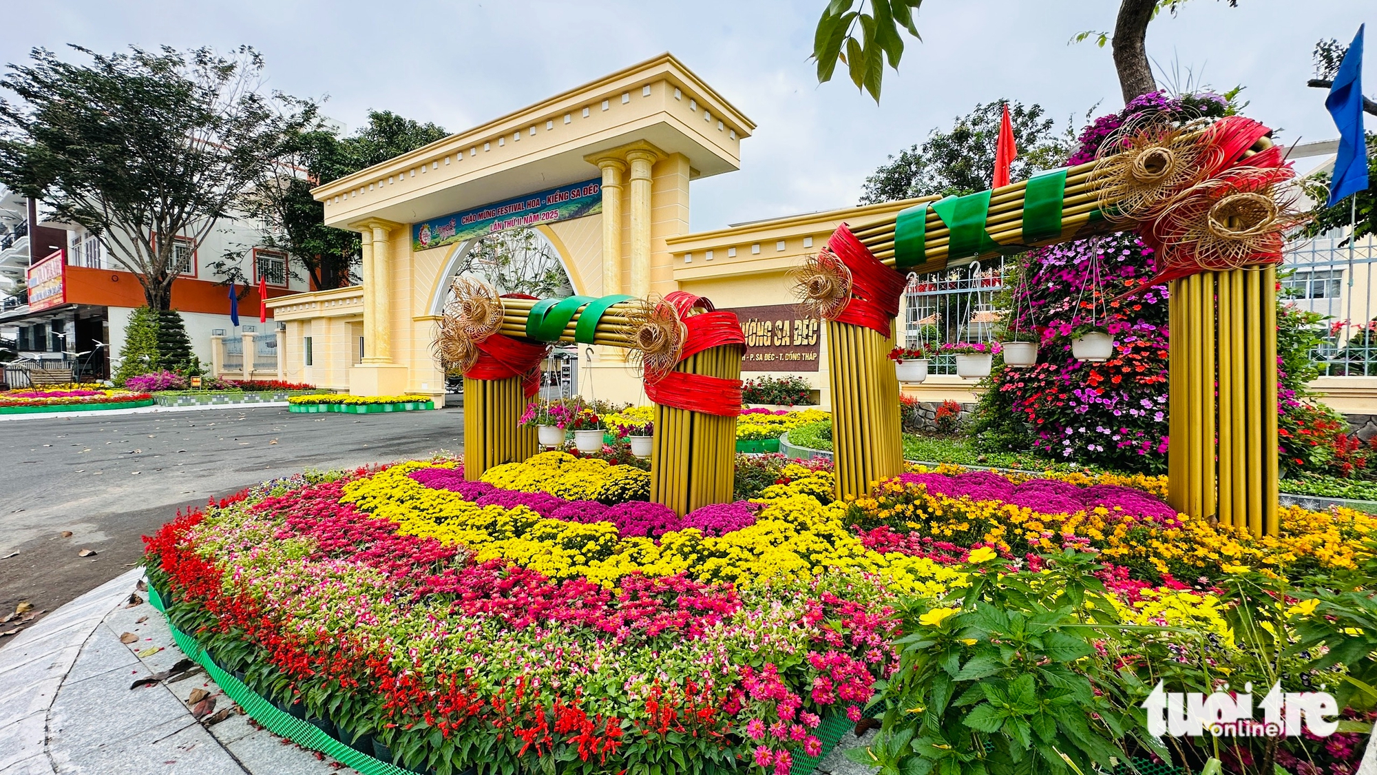 Phố hoa Sa Đéc vào mùa rực rỡ nhất năm