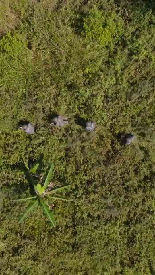 That door didn’t open… and the raid escalated