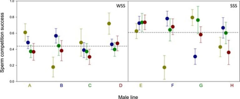 40-year beetle study shows male mating competition speeds speciation