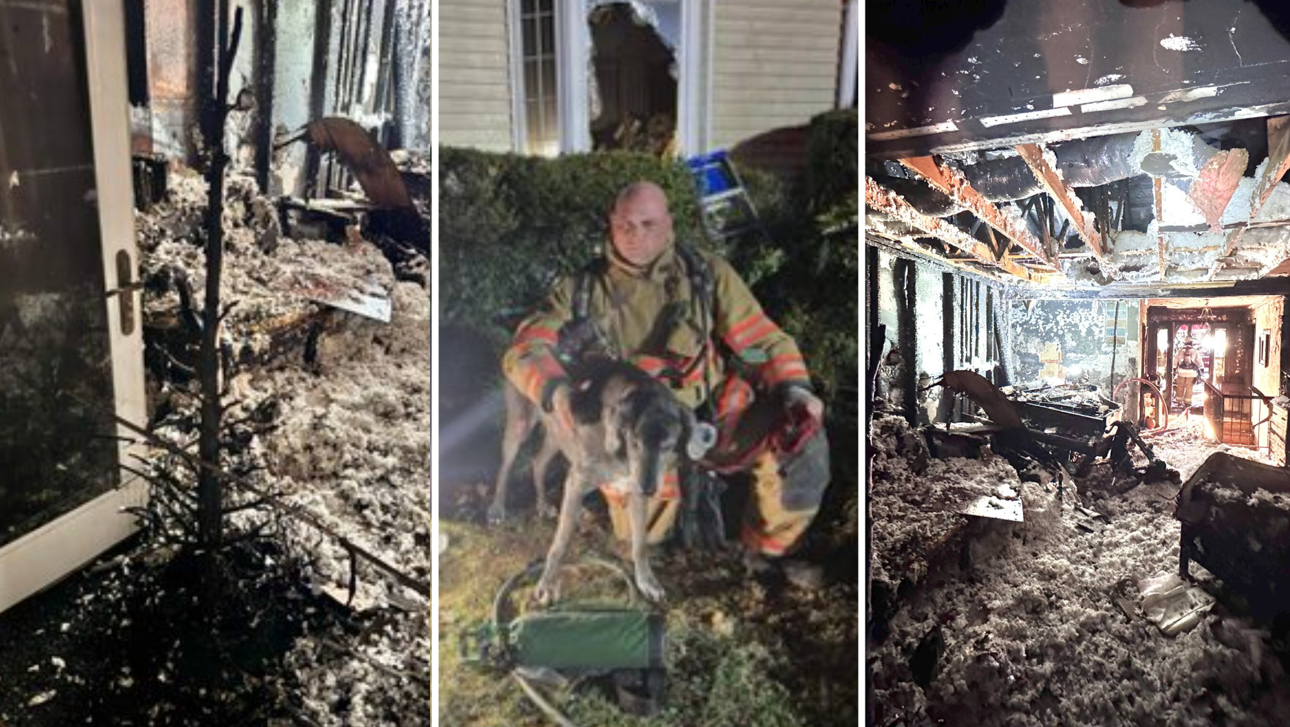 Christmas tree fire ignited by old lights injures 4 people and dog in ...