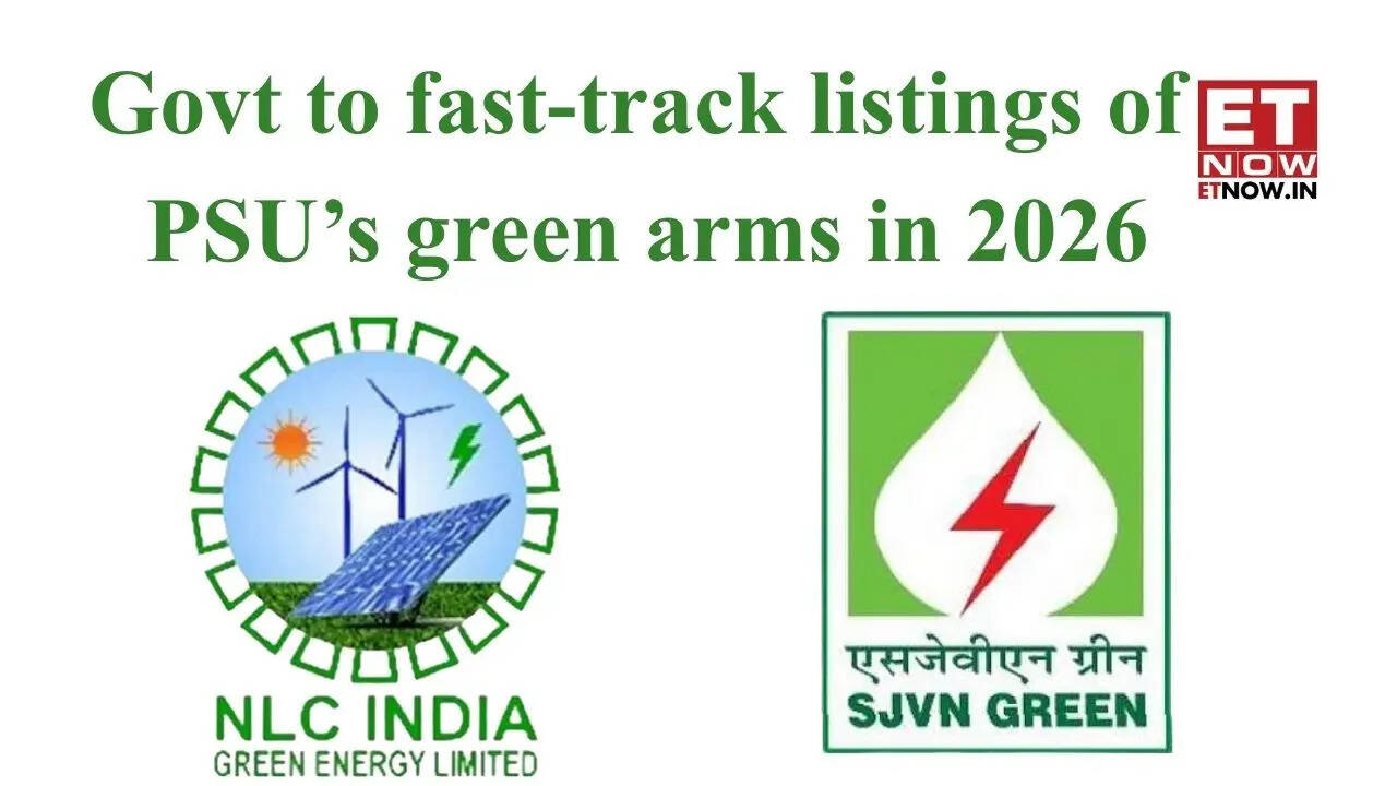 Govt to fast-track listings of PSU’s green arms in 2026: NLC Green ...