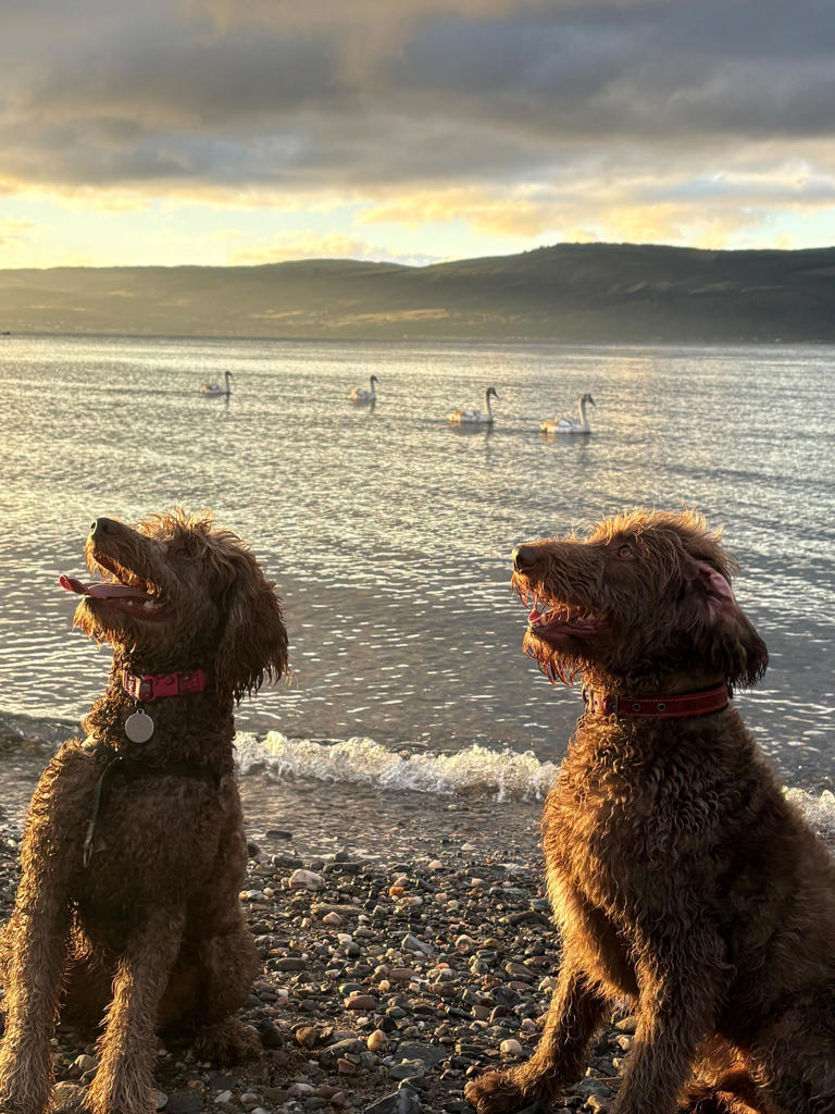 Your pictures of Scotland: 19-26 December