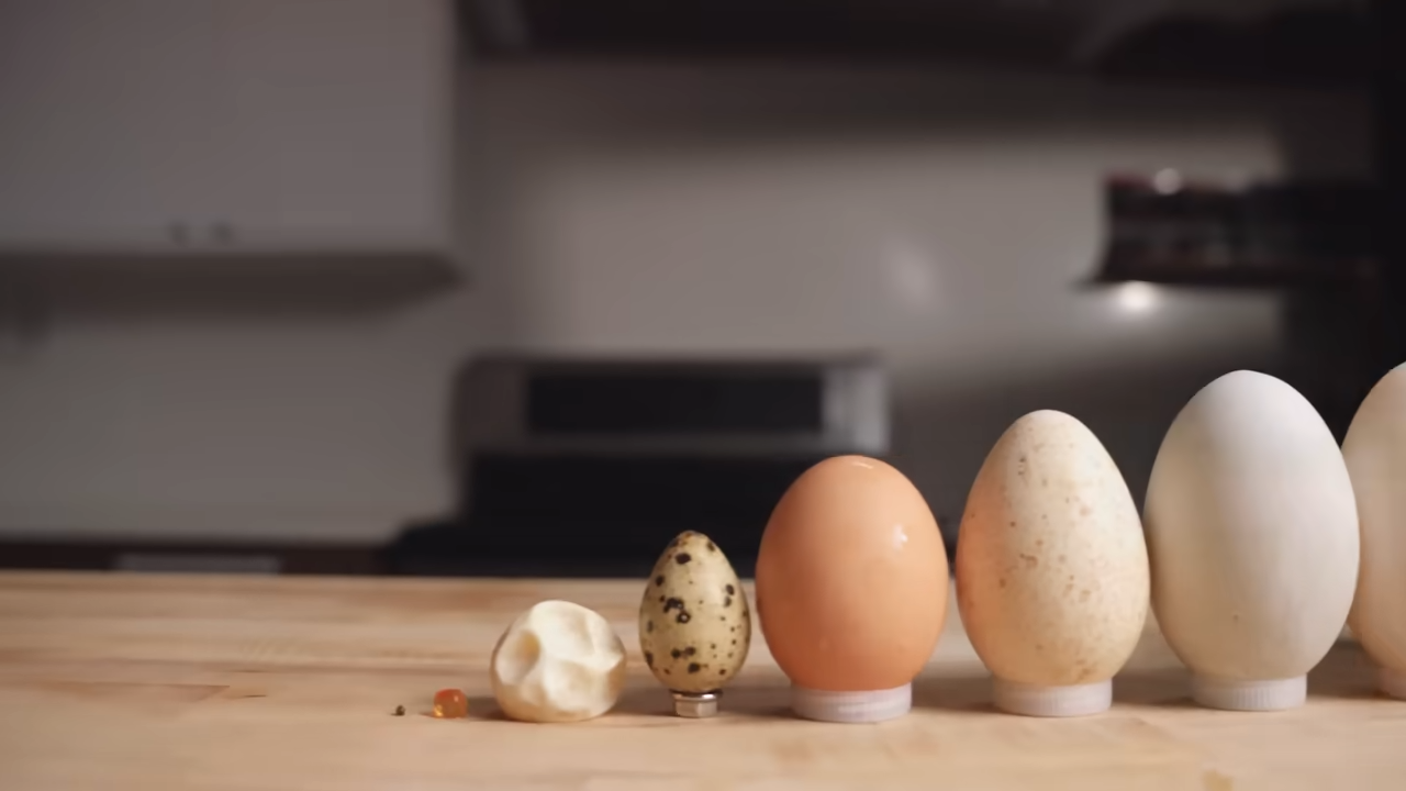 This chef cooked the world’s strangest eggs