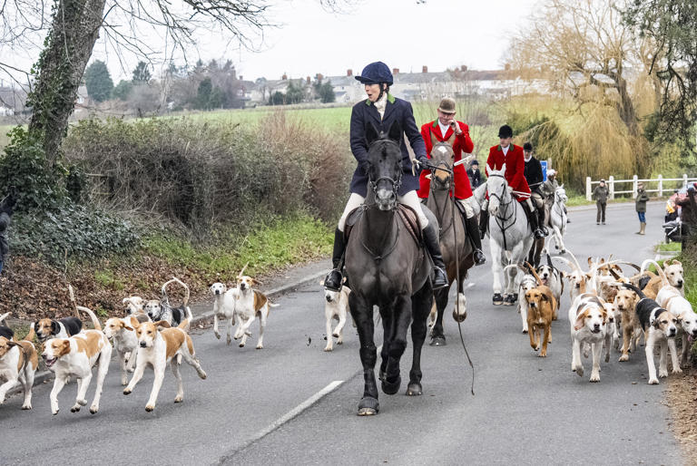 Boxing Day hunts vow to 'fight' trail ban as Starmer warned over rural ...