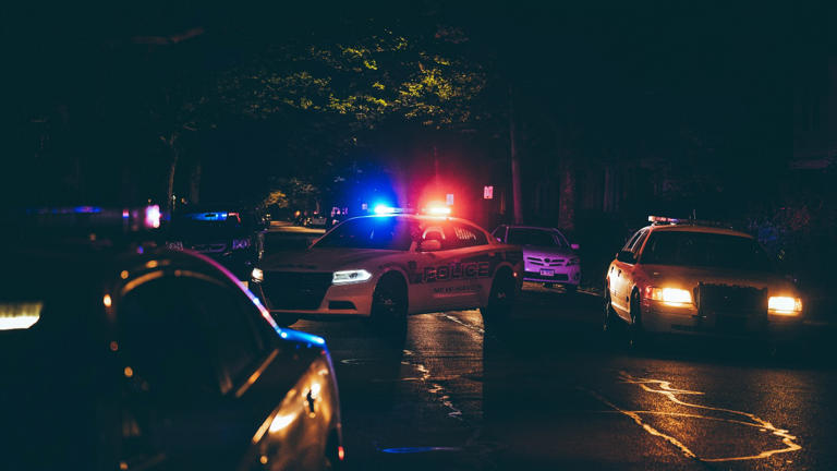 What police are legally allowed to do during a traffic stop