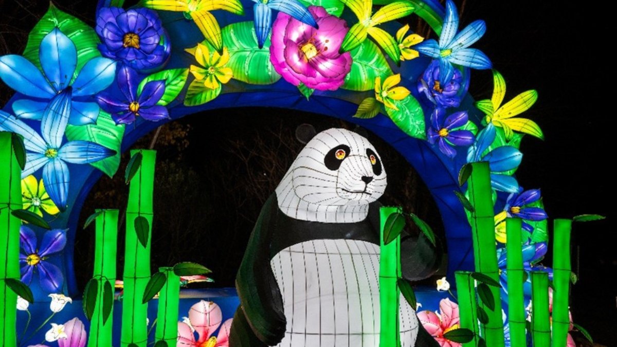 The weekend scene: Holiday outings and more to do in the DC area ...