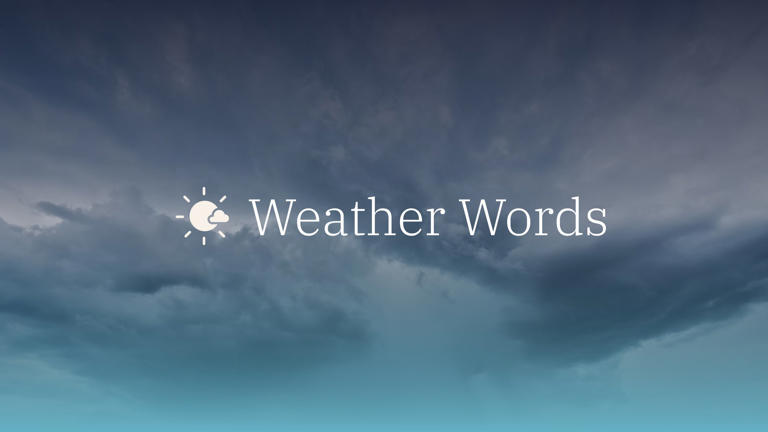 Weather words: Stellar dendrite