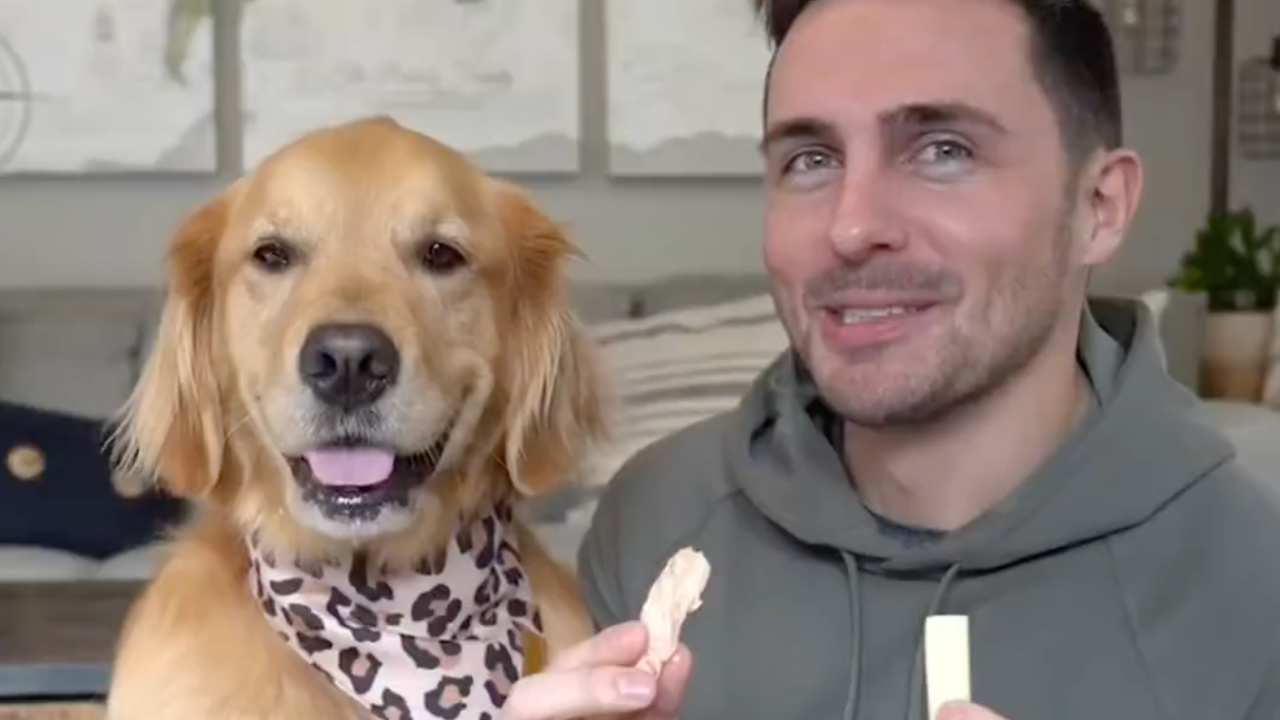 When you choose wrong: Salmon vs. string cheese