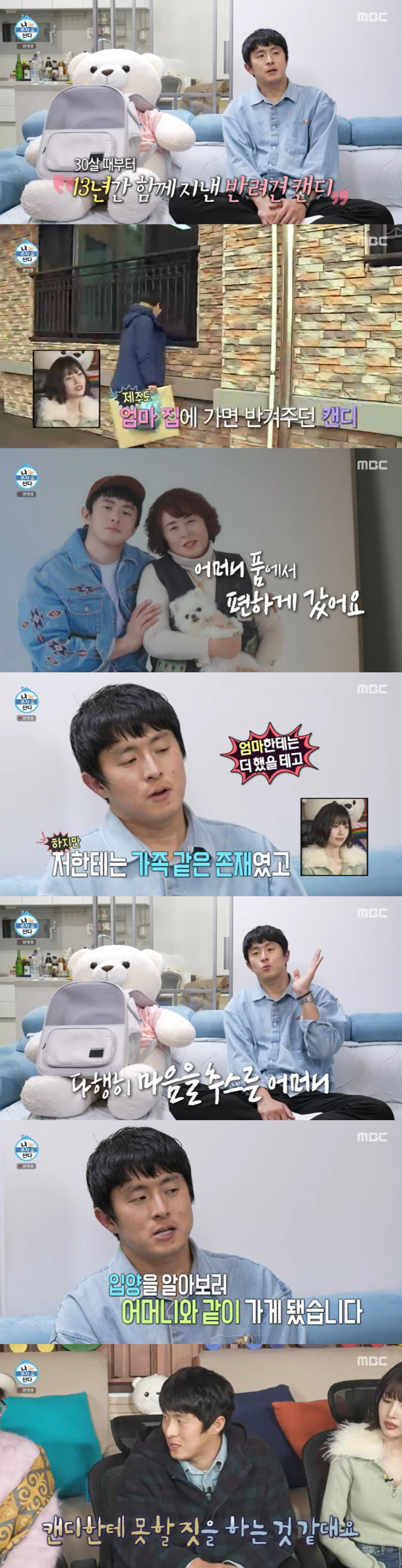 Gian84 adopted an abused abandoned dog. Have a good life with your mom