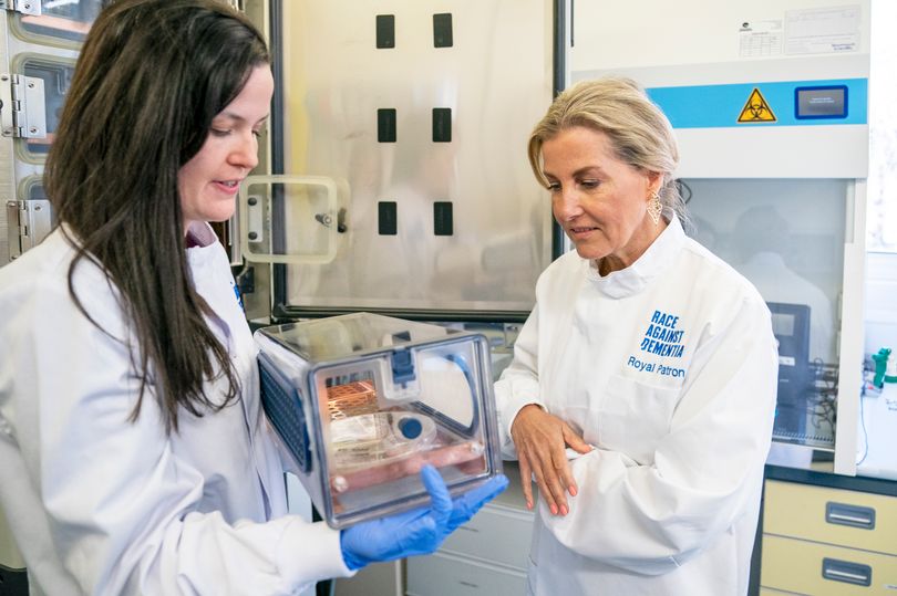 Alzheimer's researchers give message of hope, saying 'it will be cured'