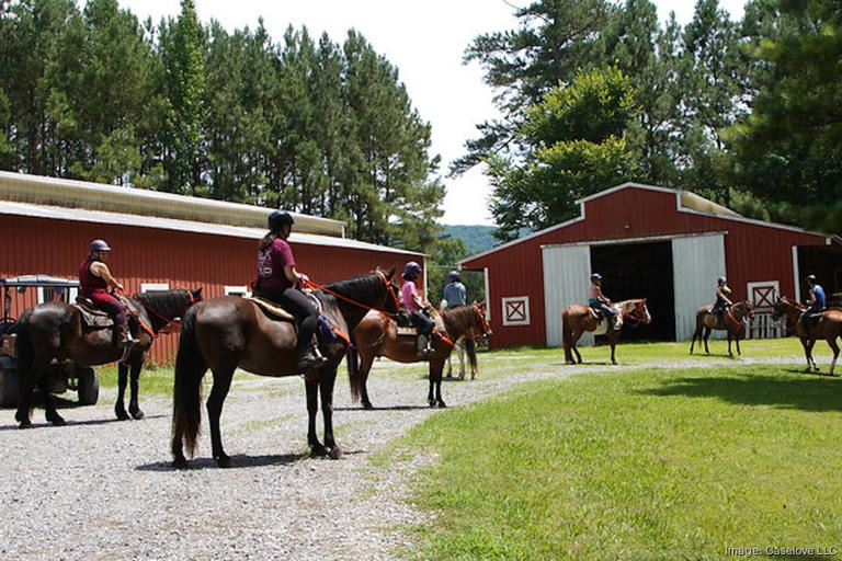 'It was a heavily emotional decision': Girl Scouts CEO on closure of ...