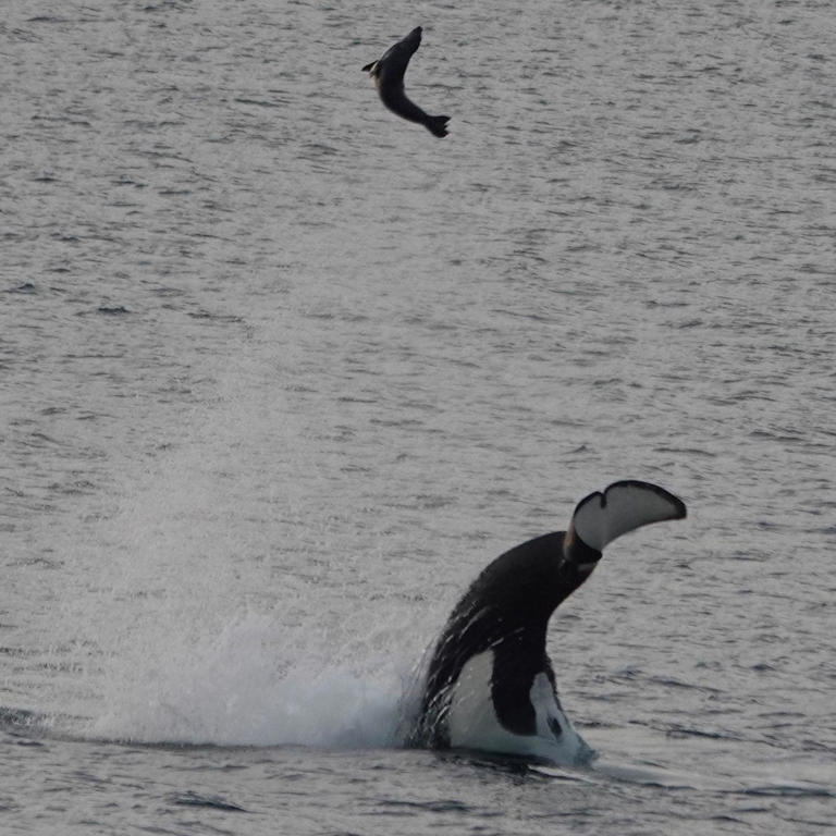 Your pictures of Scotland: 19-26 December