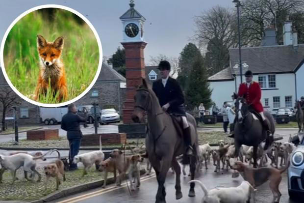 End to trail hunting in sight as UK government announces ban in England ...