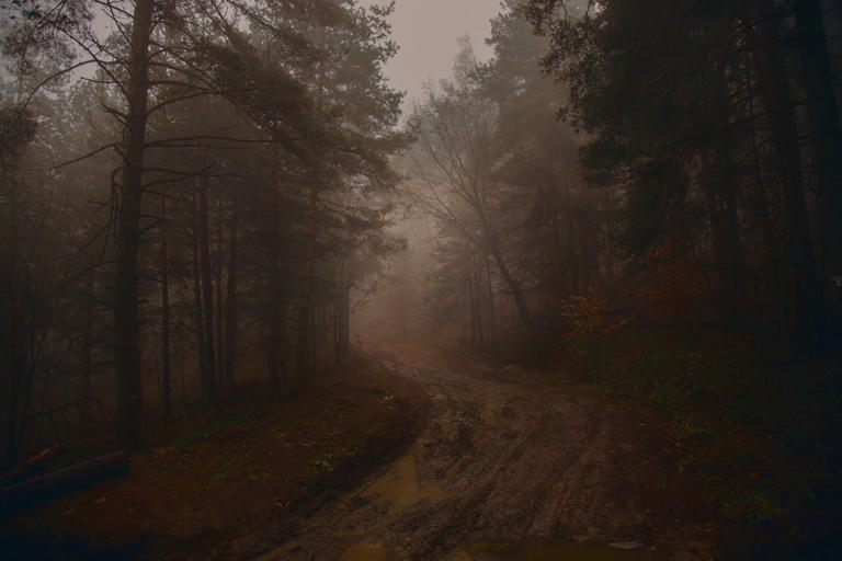 Crowding-driven risk shifts in Colorado recreation areas