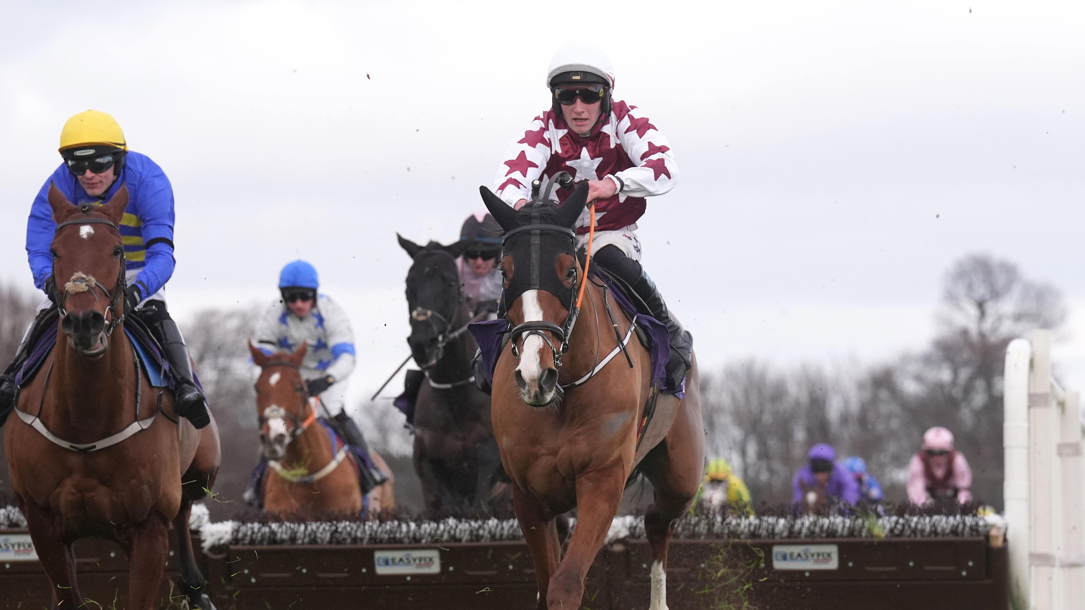 El Cairos makes Supreme impression despite Leopardstown mishap