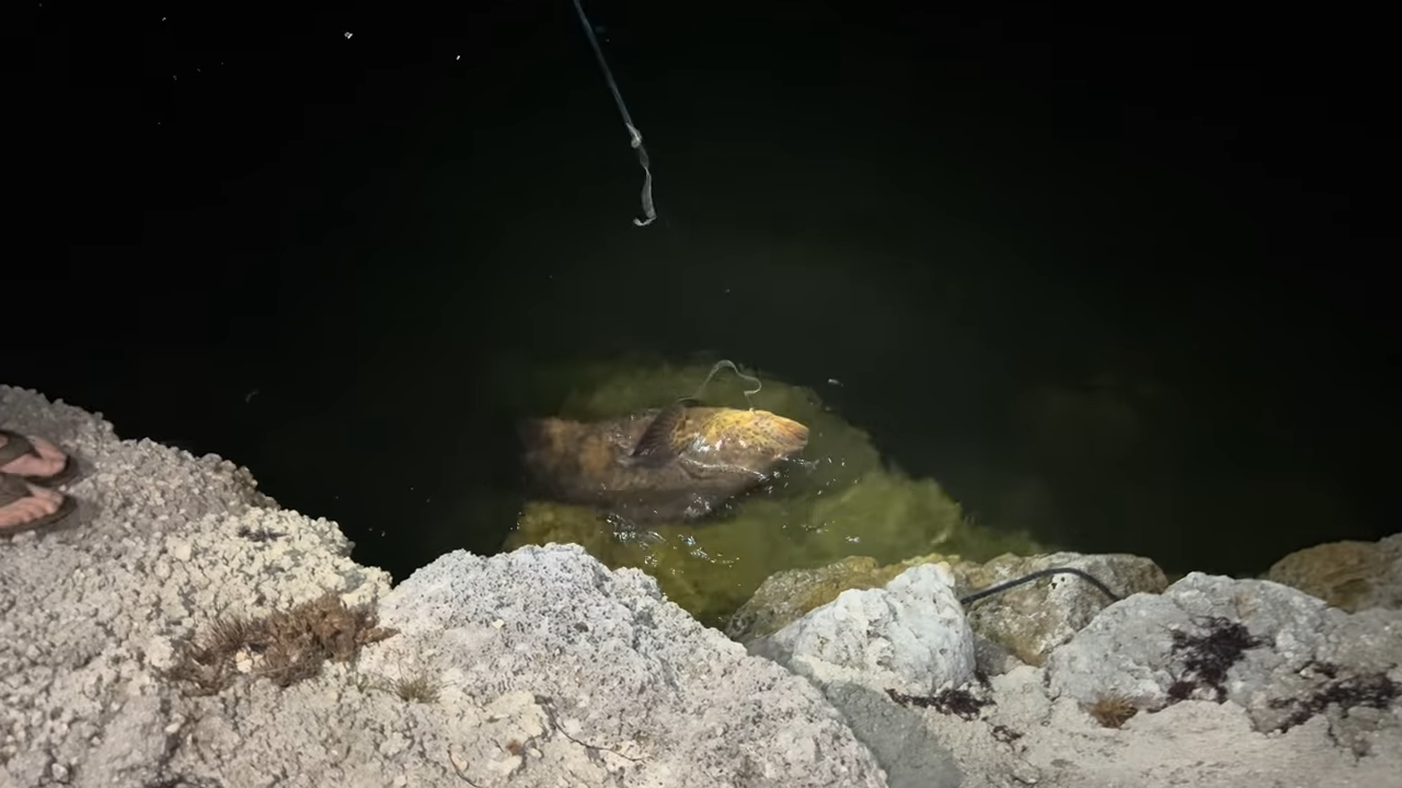 This is why you don’t fish here after dark