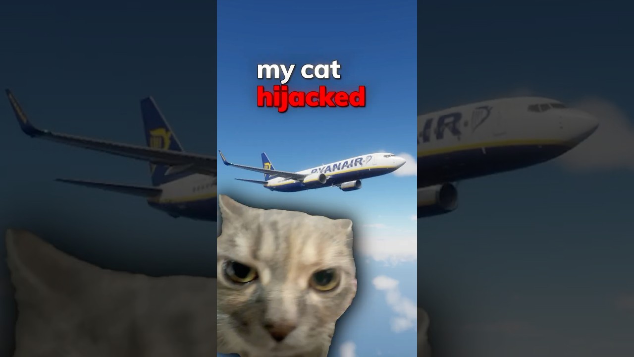 My cat hijacked my airplane