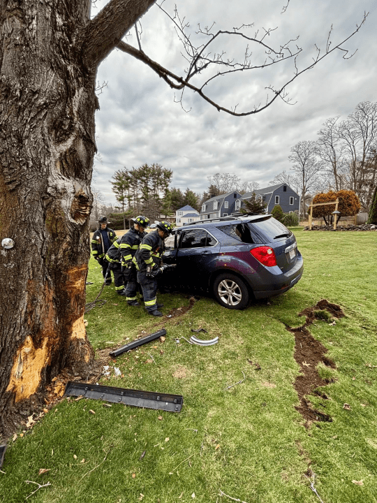 One injured in car vs. tree accident on Christmas Day in Springfield