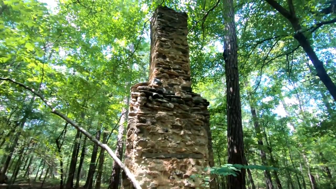 What we found in these woods was an entire lost community