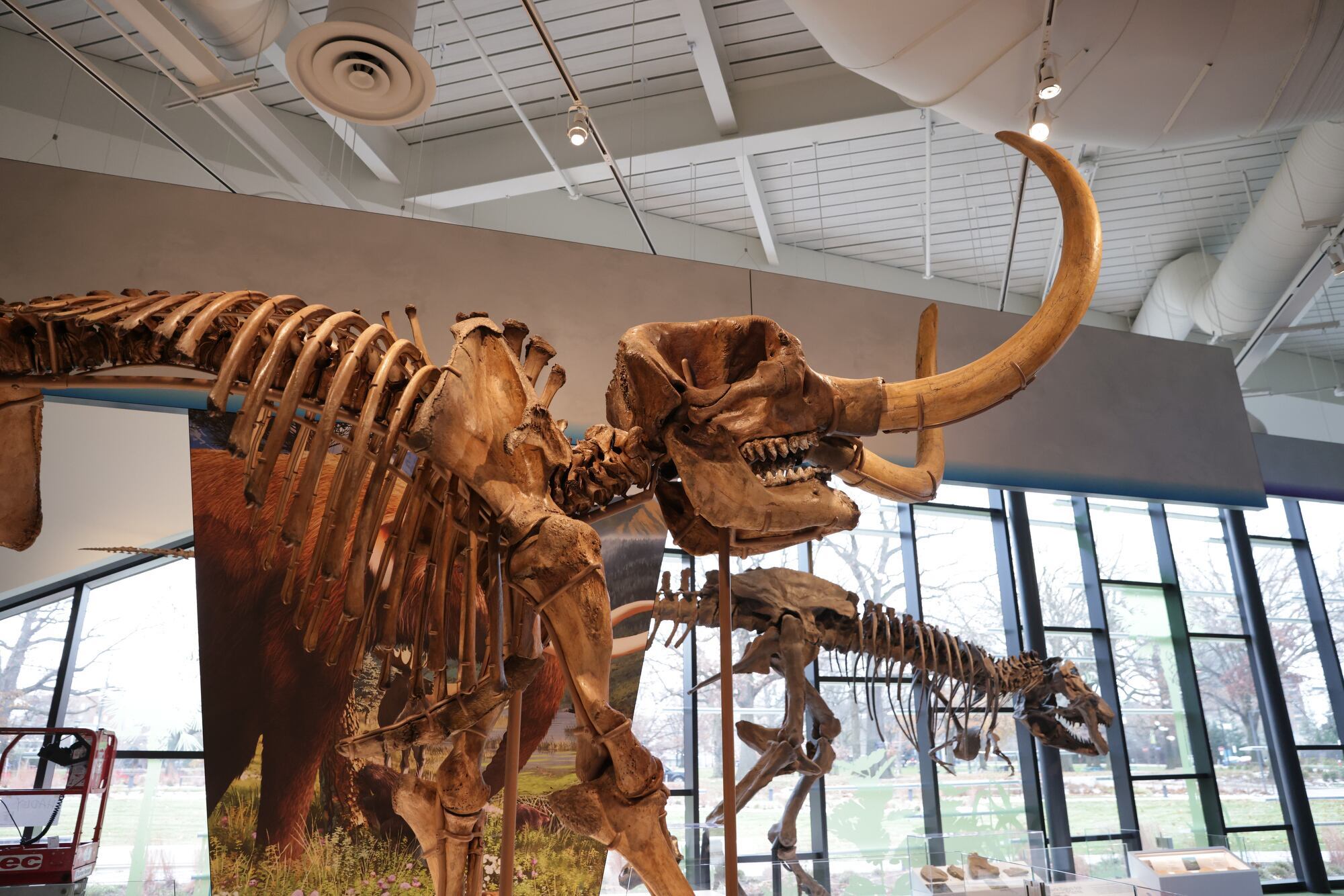 Cleveland Museum of Natural History named among world’s most beautiful ...