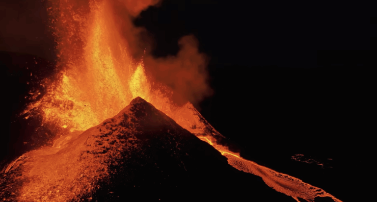 How would you die during every mass extinction?