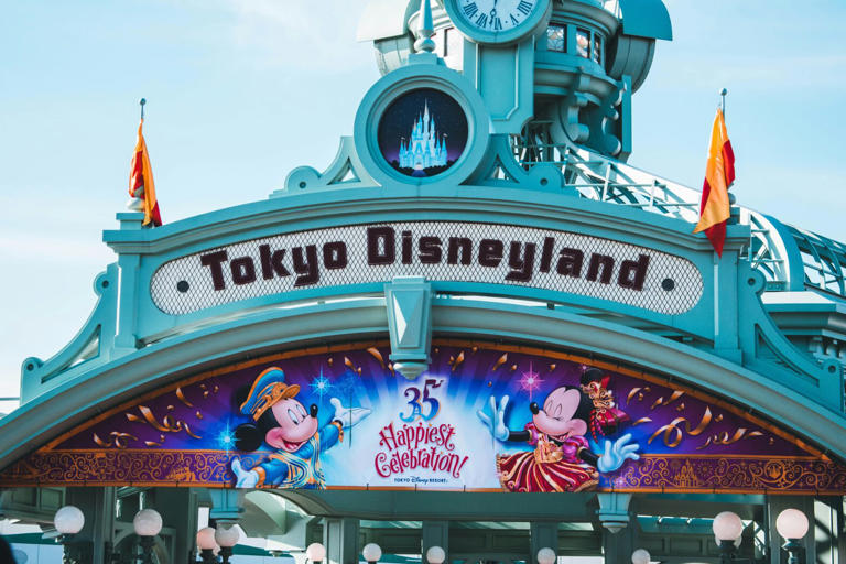 Tokyo Disney vs. Disney World: A viral cost breakdown has travelers ...