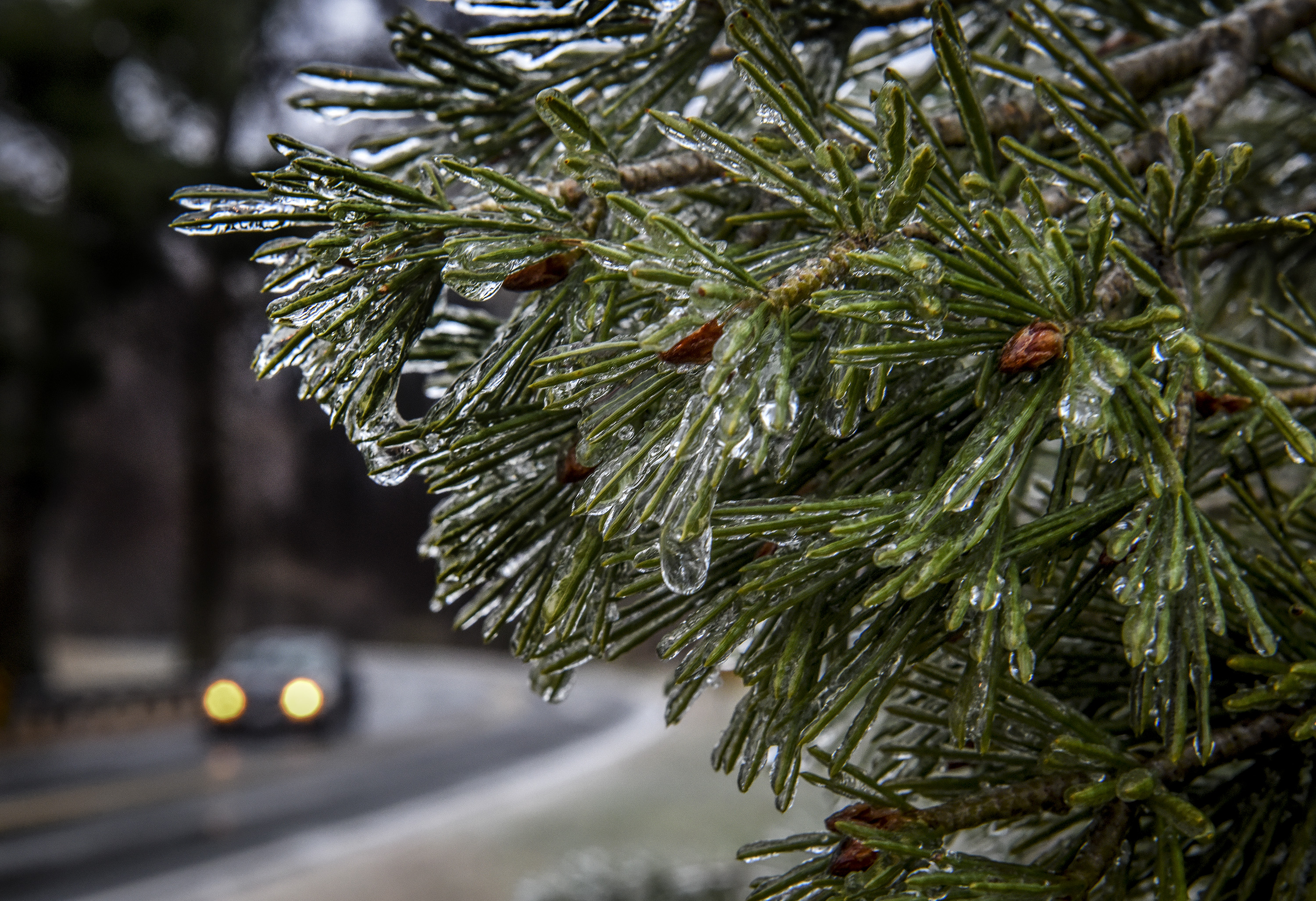 Tiempo invernal para condados al norte de Maryland; frío en DC