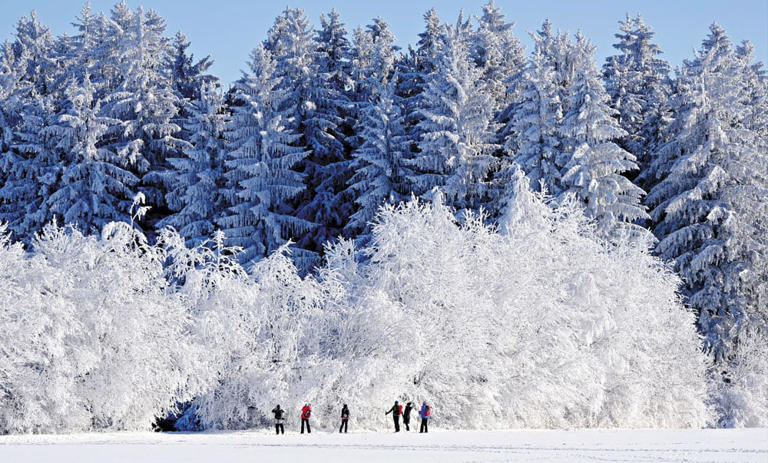 How hot, how alive? A year of self-reflection