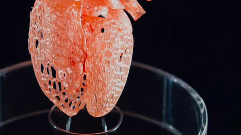 New 3D-print material pushes artificial organs a step closer