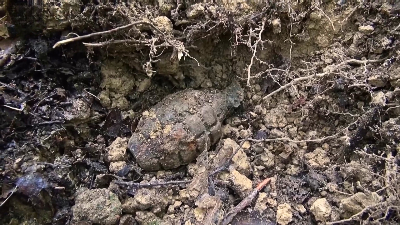 Ardennes relic hunt turns up a live rifle grenade, a Kettenkrad track ...