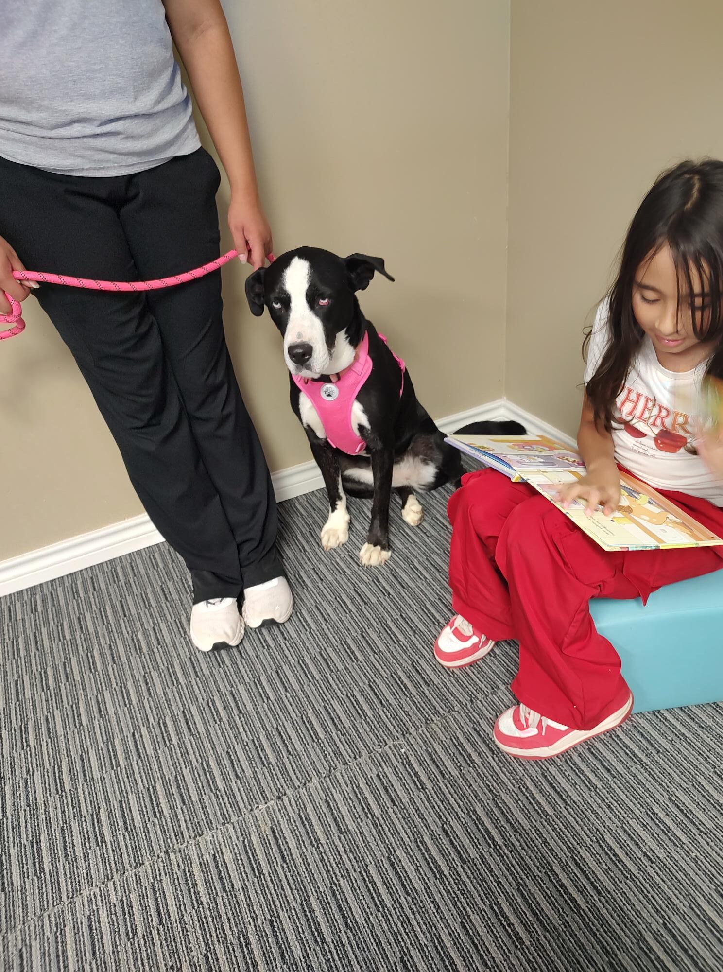 Bush Family Home literacy programs continue in 2026