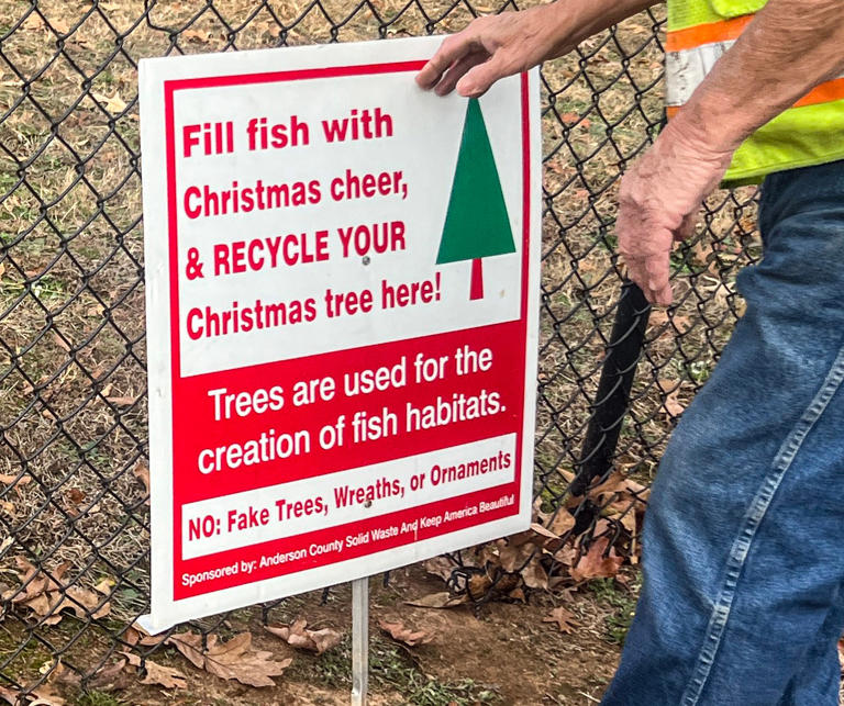 Recycle your Christmas tree after the holidays at these Upstate locations
