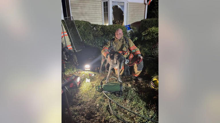 Bethesda Christmas tree fire leaves 5 injured