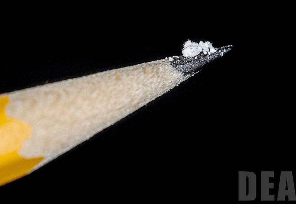 19 cool and informative photos from history and science that changed ...