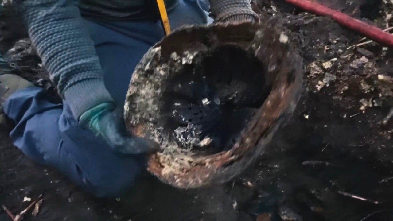 Long-buried Wehrmacht weapons found in a forest after eighty years