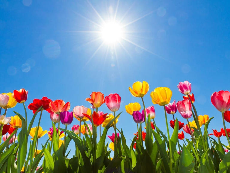 Frankfort Park District set for spring events: Craft show, egg hunts ...