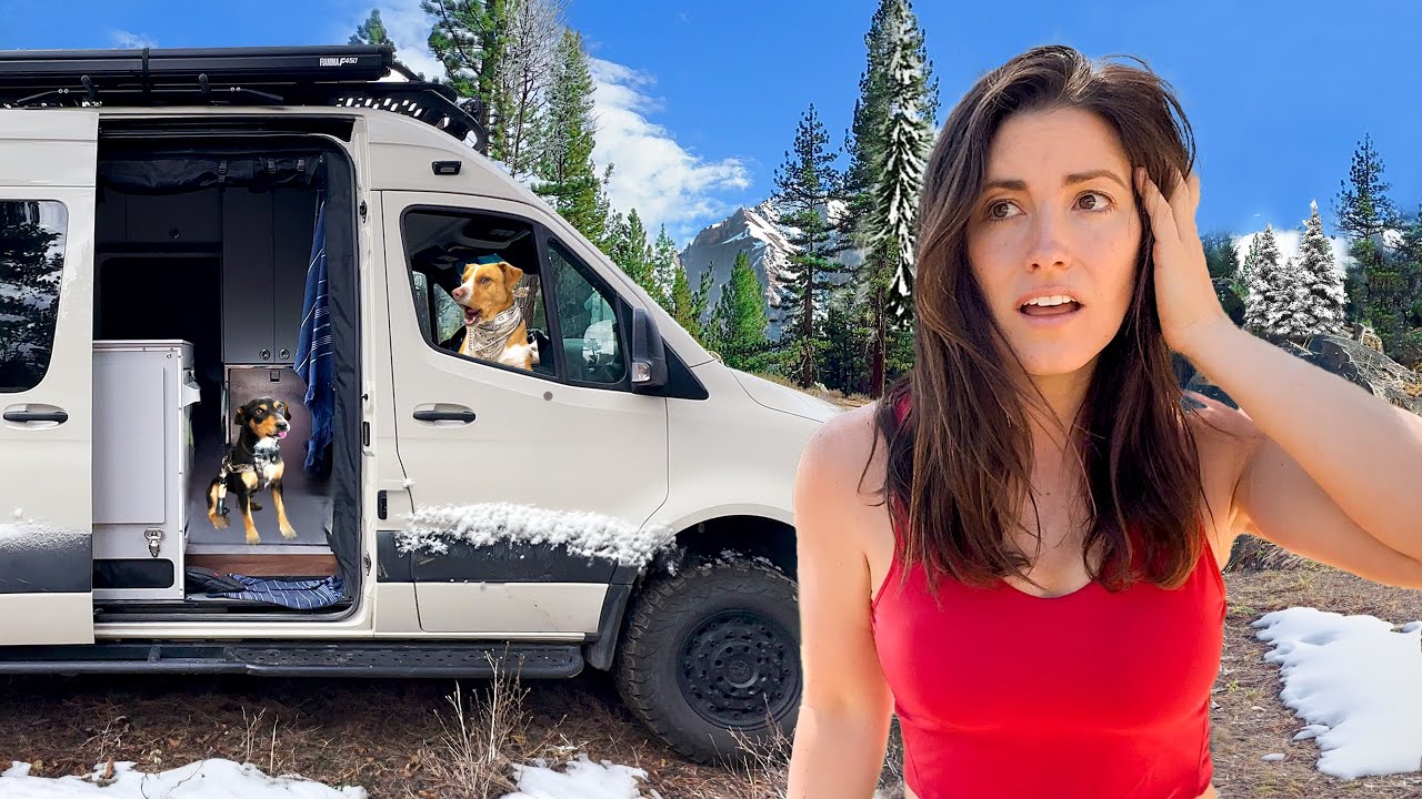 Winter van life challenges with two rescue dogs