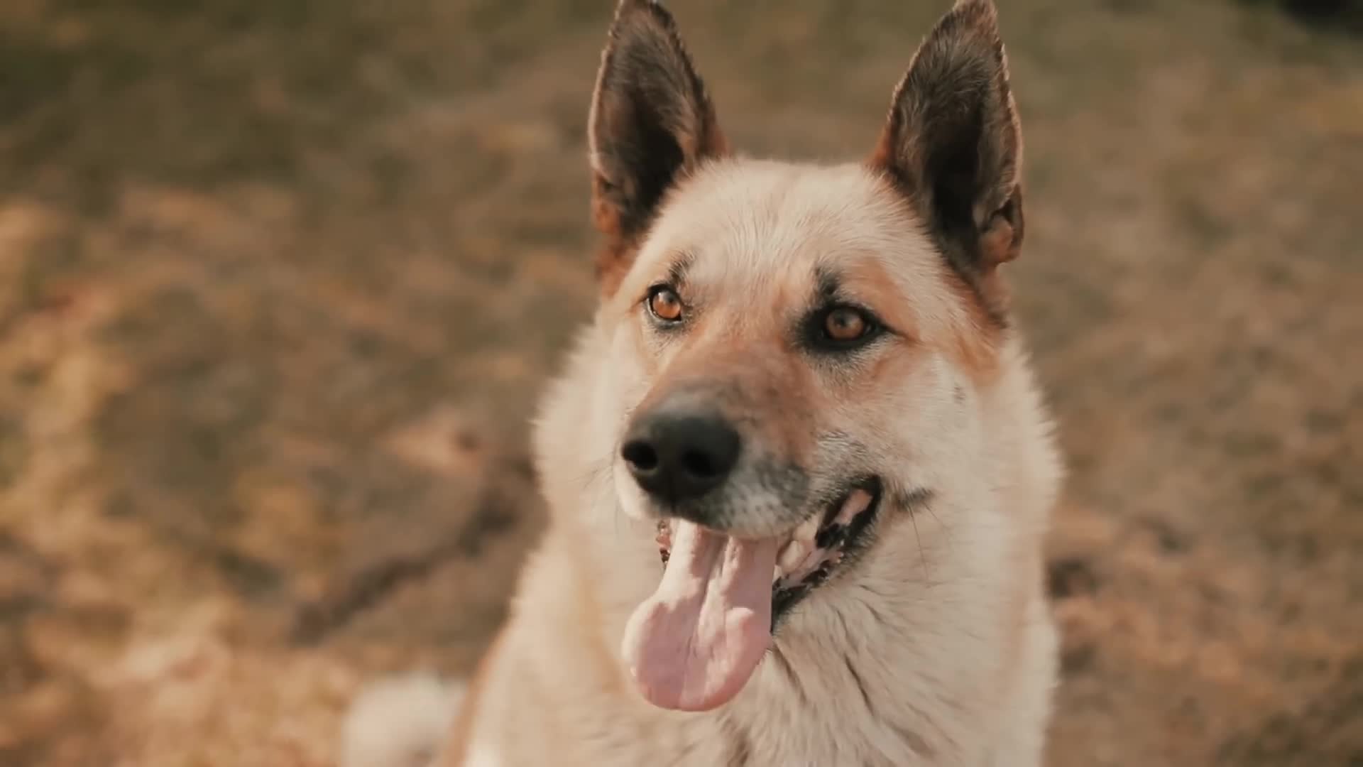 Idioms that make no sense